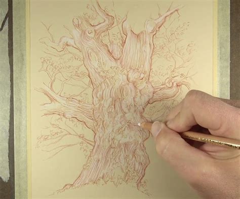 How To Draw Trees