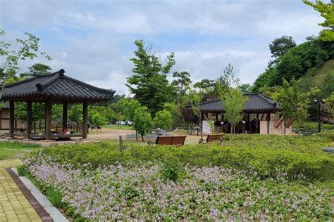 미래지 농촌 테마공원미래지 농어촌 테마공원 충청북도 청주시 청원구 가볼만한곳 관광지랭킹