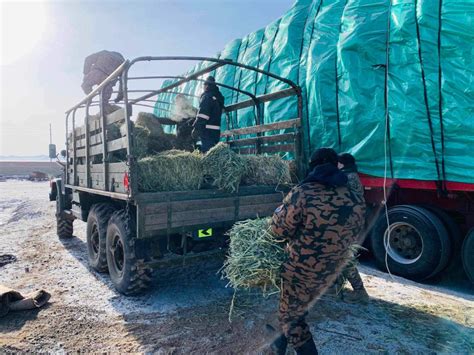 2023 онд нөөцөлсөн хадлангийн өвс хивэг тэжээлийг экспортлохгүй Hunnu Mn