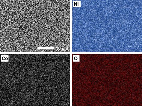 electron image a and elemental mapping with ni b co c and o d