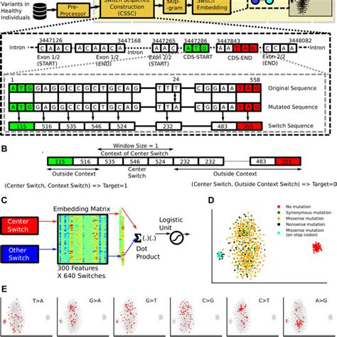 An Overview Of Learning Continuous Representation Of Coding Switches