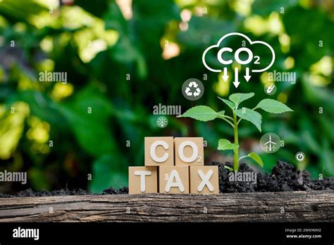 Carbon Neutral And Net Zero Emissions Concepts Natural Environment A