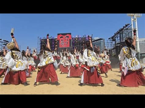早稲田大学 踊り侍 NEVER第25回こいやまつり 太陽の広場メイン会場 2024年9月8日 YouTube