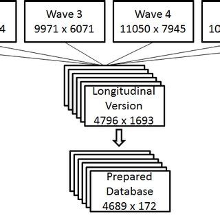 Dimensions Of The Different Versions Of The ELSA Database Download Scientific Diagram