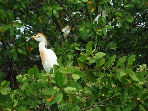 Laguna Ventanilla Mazunte Mexico Top Tips Before You Go With Photos Tripadvisor
