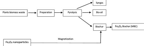 Simple Route For The Synthesis Of Magnetic Biocharfbc With Fe 3 O 4 Download Scientific