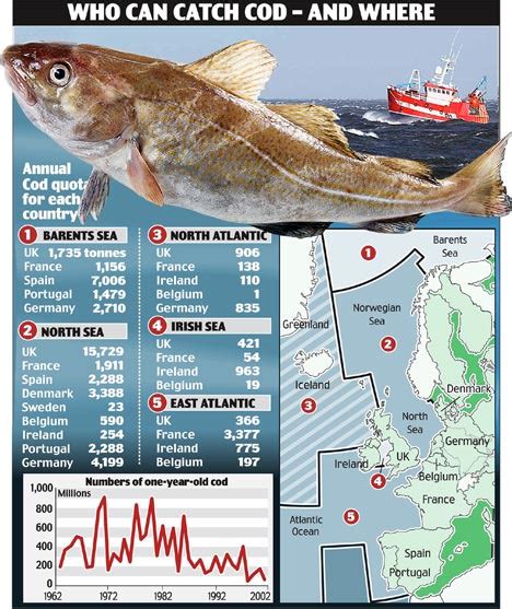 Push To Raise Cod Quota As One Million Tonnes Of Dead Fish Dumped Each
