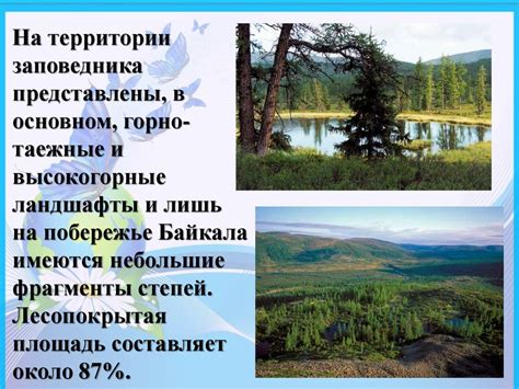 Растительный и животный мир Земли География 7 класс презентация онлайн
