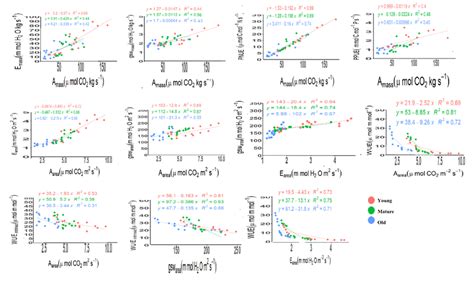 Variation In Relationship Among The Leaf Physiological Traits In The