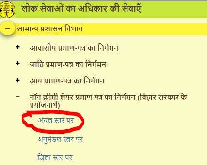 OBC Non Creamy Layer Certificate सरफ दन म मलग