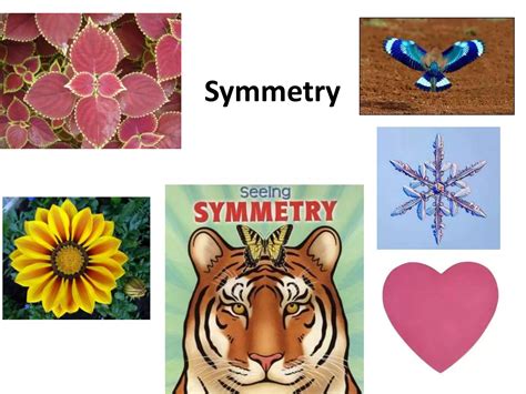 Symmetry Lines Reflection Rotation PPTX