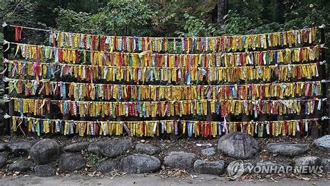 설악산국립공원 입구에 걸린 산악회 리본