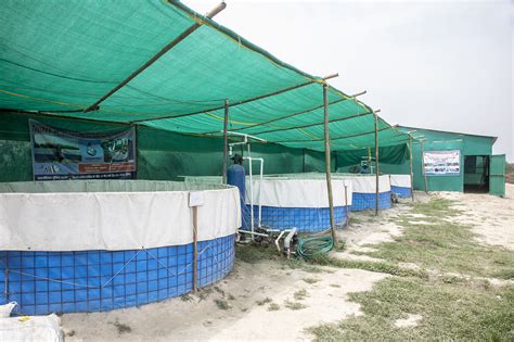 Community Led Innovation For A Locally Led Humanitarian System Start Network