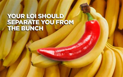 How To Write An LOI GrantWriterTeam Blog