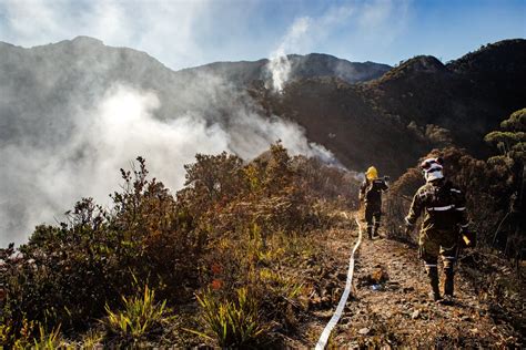 Los Incendios Forestales Acción De Las Altas Temperaturas O