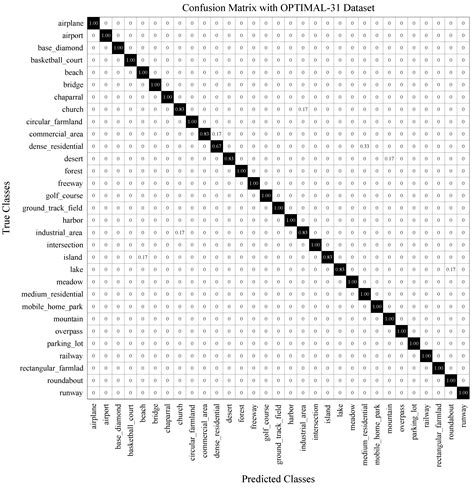 A Dual Model Architecture With Grouping Attention Fusion For Remote Sensing Scene Classification