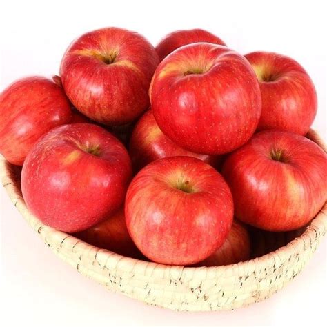 Fruit Instance Segmentation Dataset By Creskim