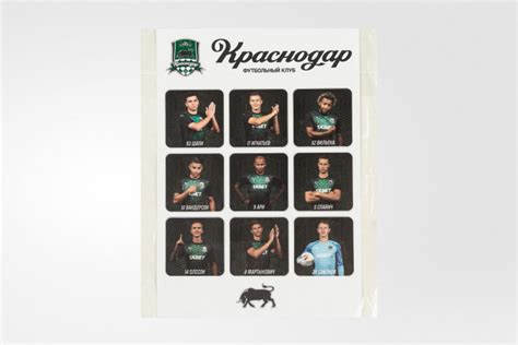 Набор наклеек ФК «Краснодар»