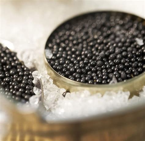 Sugaring Nyc V Facial Mask Black Caviar 7oz 200g Sugaring Nyc