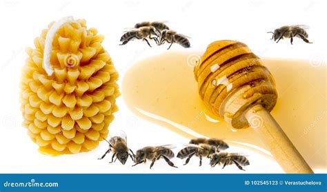 Productos De Las Abejas Imagen De Archivo Imagen De Cierre 102545123