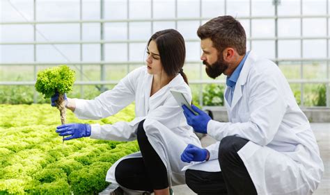 Smart Agriculture Harnessing AI To Secure The Future Of Food Production