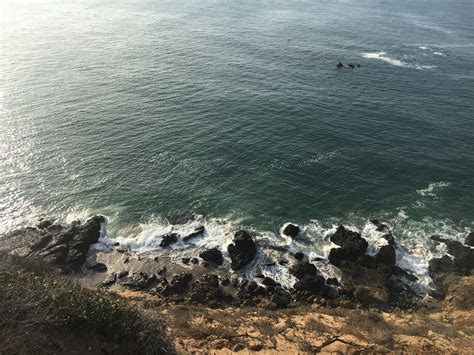 Save Our Seagrass Exploring Green