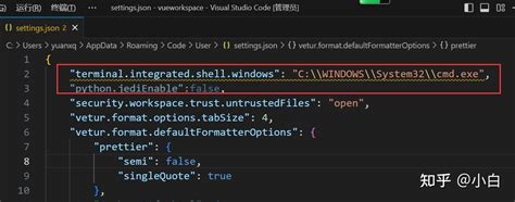 Vs Code终端无法输入命令解决方案 知乎