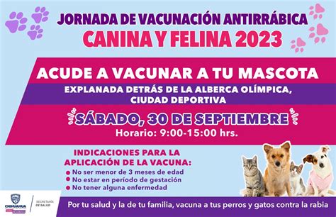 Hoy campaña de vacunación antirrábica para perros y gatos Ocho Ochenta Noticias