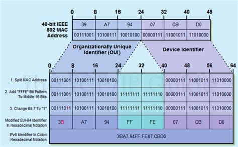 Eui 64 Generation In Slaac Download Scientific Diagram