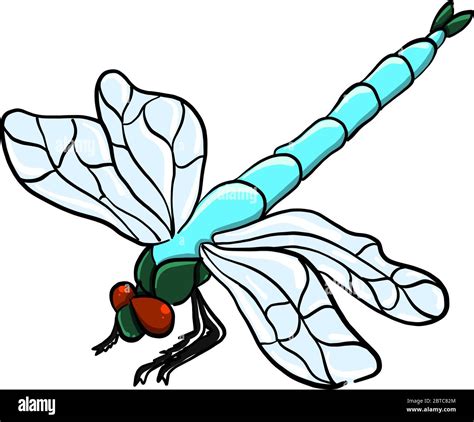 Blue Dragonfly Illustration Vector On White Background Stock Vector
