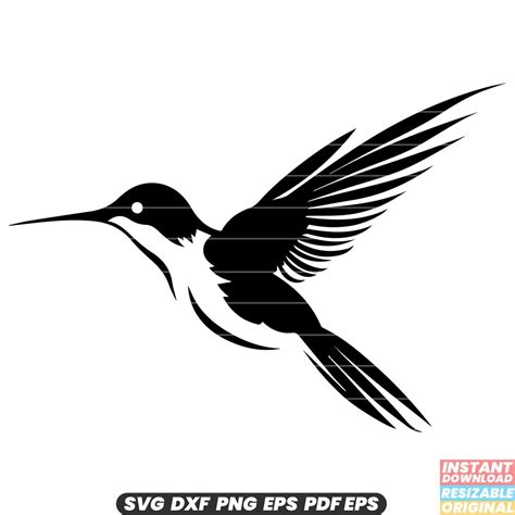 Hummingbird Bird Nature Wildlife Tiny Flutter Hover Nectar Feeder