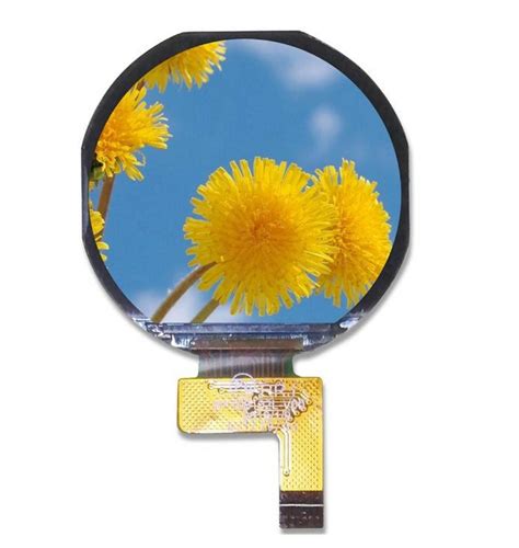 Factory OEM ODM Round Full View Inch Smart Watch LCD Module LCM Smart Watch And LCD Price