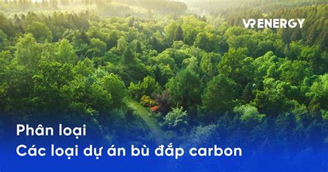 Classify The Most Common Types Of Carbon Offset Projects Currently
