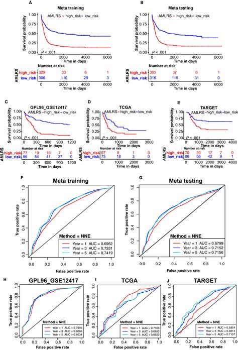 The KaplanMeier Survival Analysis In Five Data Sets A Metatraining