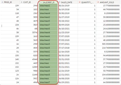 Example Two Apply Multiple Role Based Filters In A Workbook