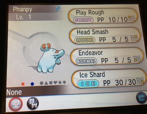 Four Egg Move Phanpy Hatched Yesterday Definitely Hard To Notice R