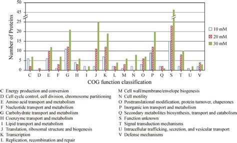 Clusters Of Orthologous Groups Of Proteins Cog Classification Of The