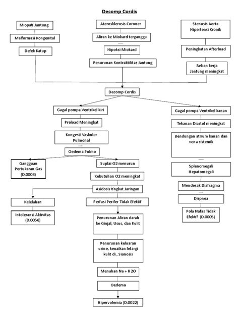 Decomp Pdf