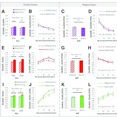 Sex Differences In Nmda Receptor Signaling Proteins In Psd And Csm Download Scientific Diagram