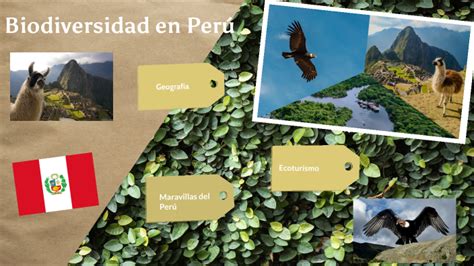 Biodiversidad En Peru By Allyson Peralta Vargas On Prezi