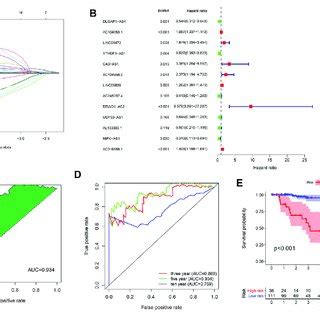 Construction Of The IrlncRNA Prognostic Model A Lasso Regression