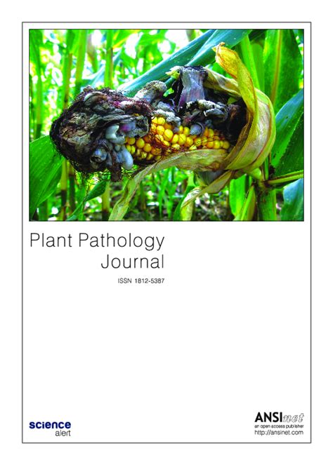 Pdf Effect Of Different Inorganic Additives On Spawn Run Cropping Period And Yield