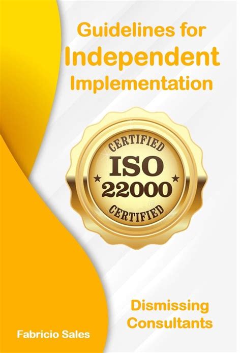 Iso Guidelines For Independent Implementation Ebook Fabr Cio