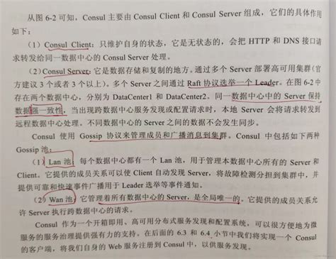 6go语言高并发与微服务实战 服务注册与发现go 服务注册与发现 Csdn博客