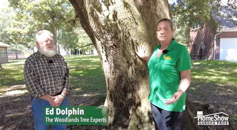 Pruning Dos And Donts Homeshow Garden Pros Radio