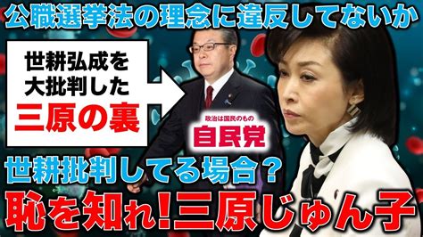 【恥を知れ！】世耕弘成を批判した三原じゅん子議員の政治資金。選挙の年だけ、何千万円も宣伝活動しているのは、公職選挙法の理念に反しないか？安冨歩