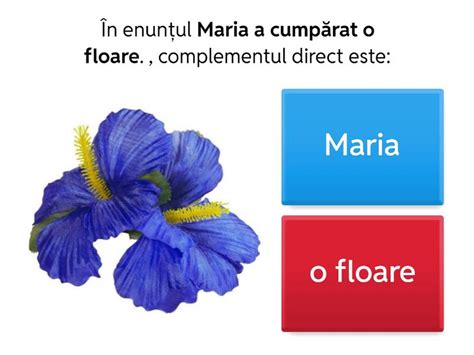 Complementul Direct Complementul Indirect și Complementul