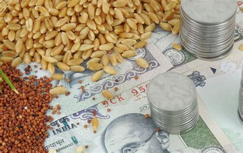 Cabinet Approves Minimum Support Prices Msp For Rabi 2023 24 Know