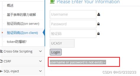 前端后端验证码绕过策略：原理与实战 Csdn博客
